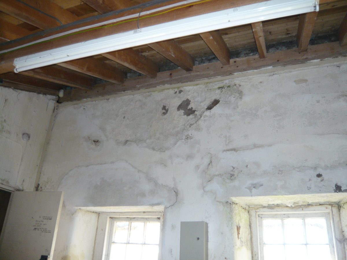 Moisture movement in heritage buildings - Austin-Smith:Lord